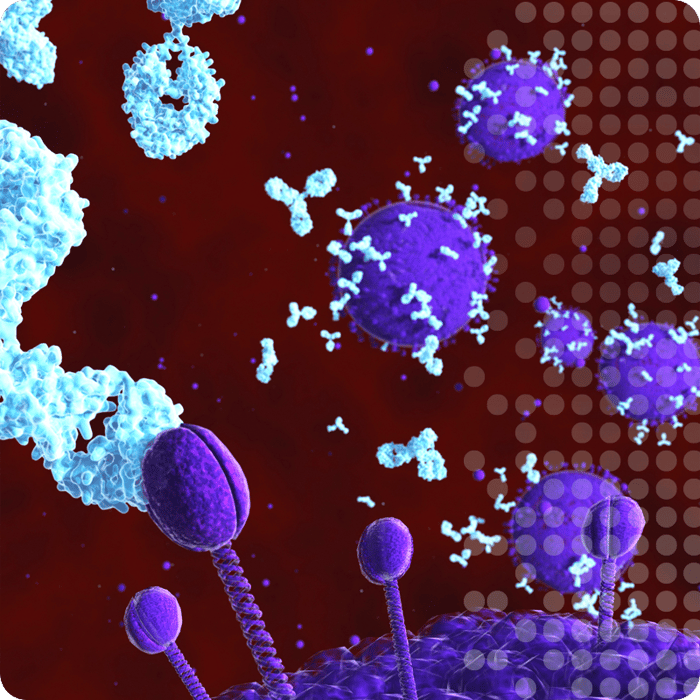 ADC Discovery Services | Maximizing Therapeutic Efficacy and Safety