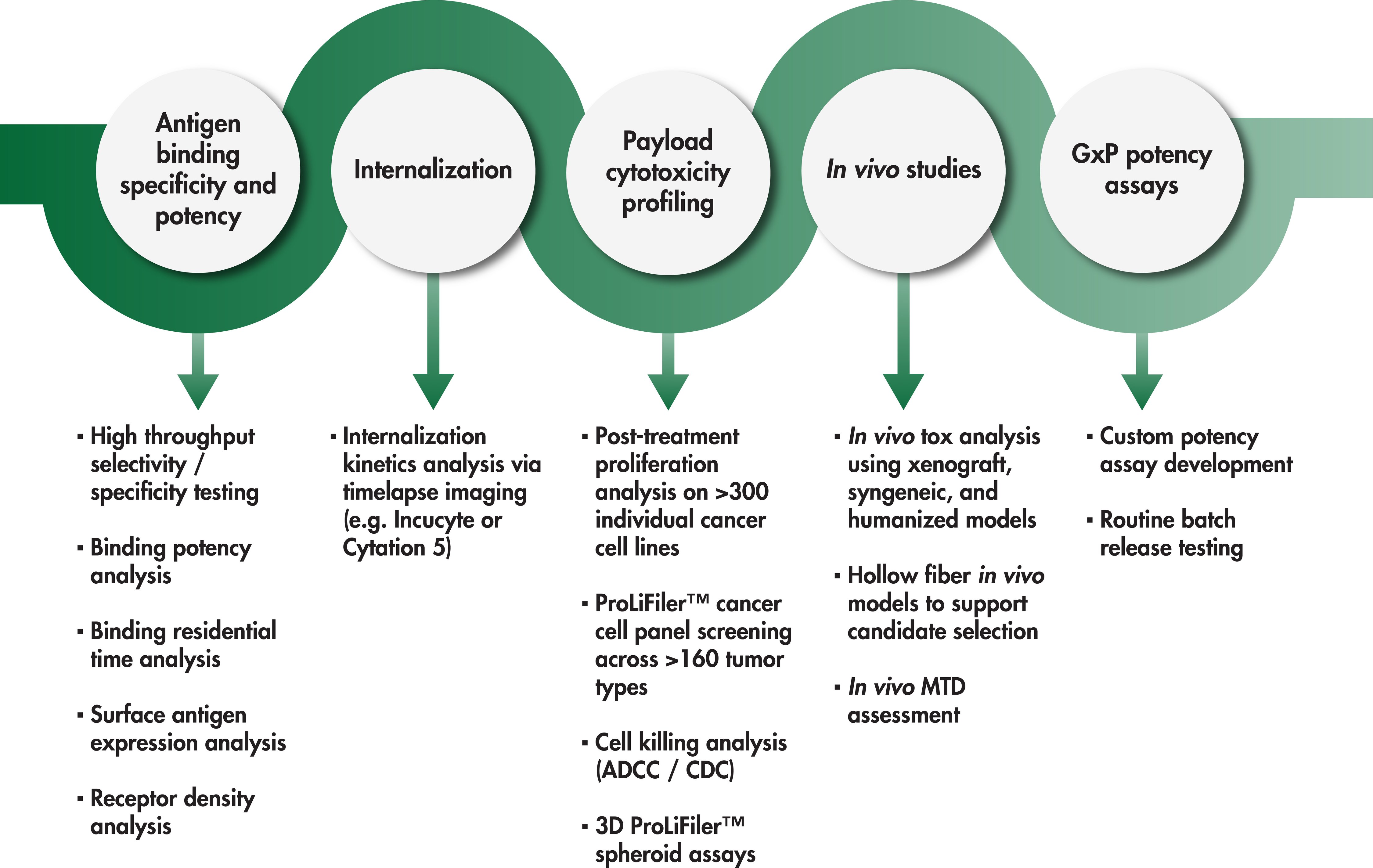 ADC Discovery Services | Maximizing Therapeutic Efficacy and Safety