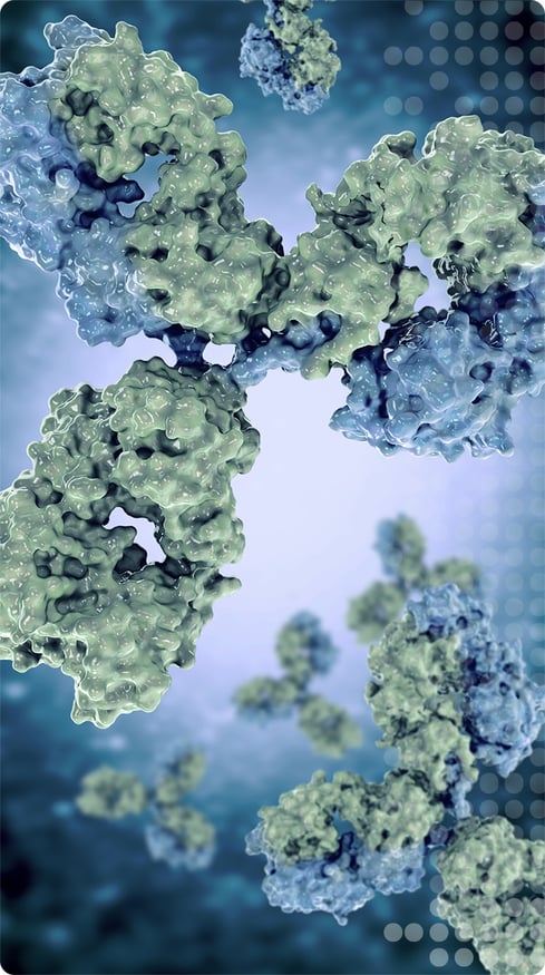 ADC Discovery Services | Maximizing Therapeutic Efficacy and Safety