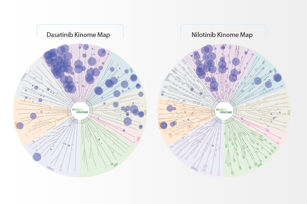 HotSpot™ Kinase Screening | Gold Standard Radiometric Assay | Activity