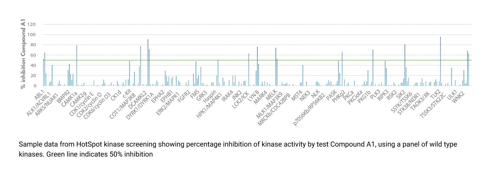 HotSpot™ Kinase Screening