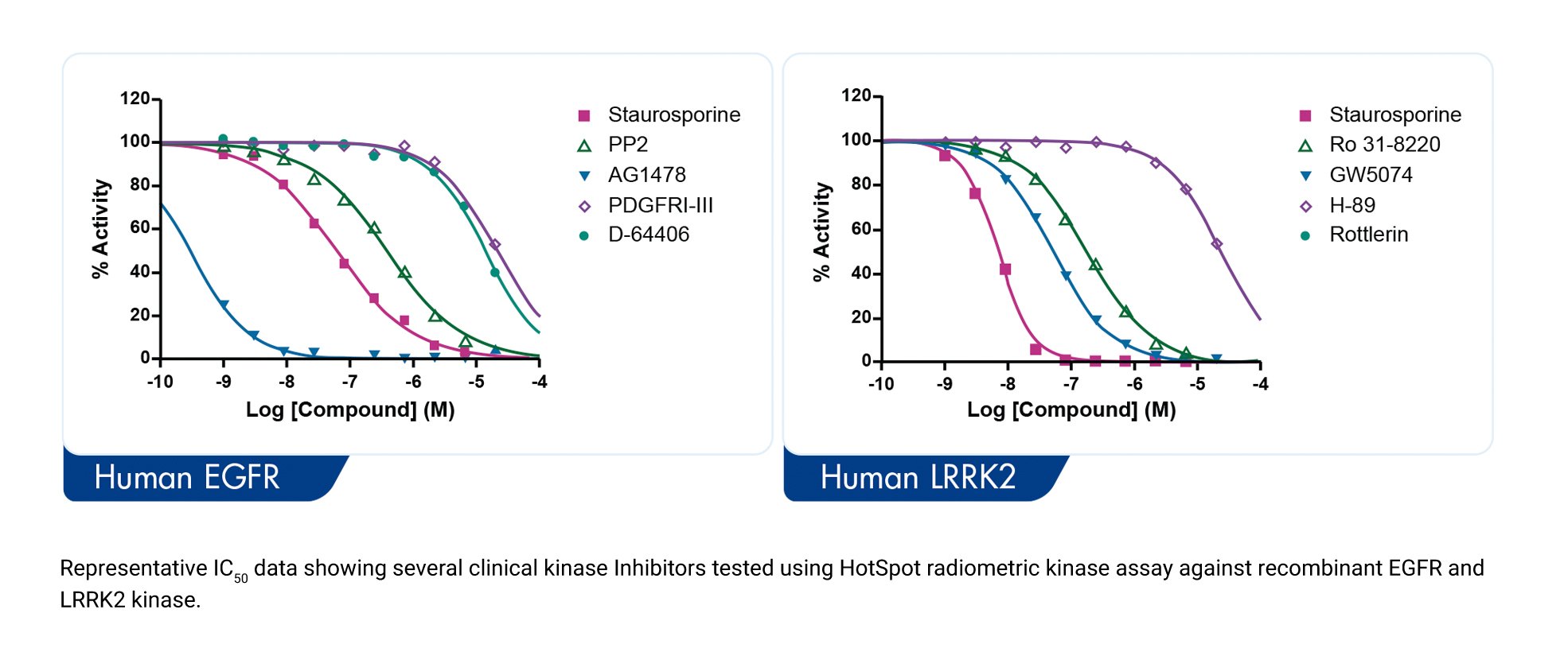 HotSpot™ Kinase Screening | Gold Standard Radiometric Assay | Activity