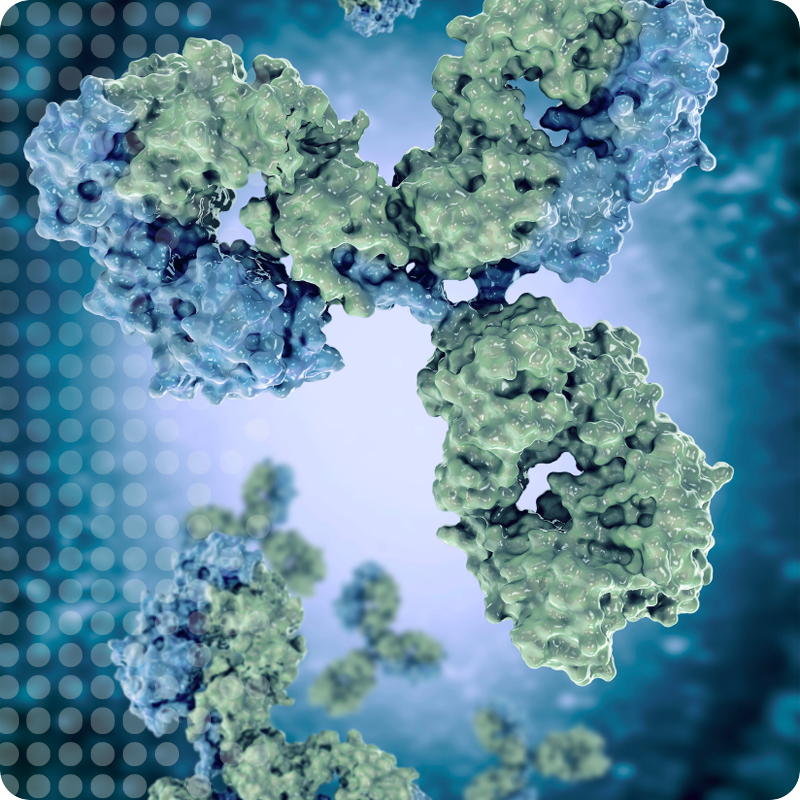 Your Antibody-Drug Conjugate (ADC) Discovery Partner