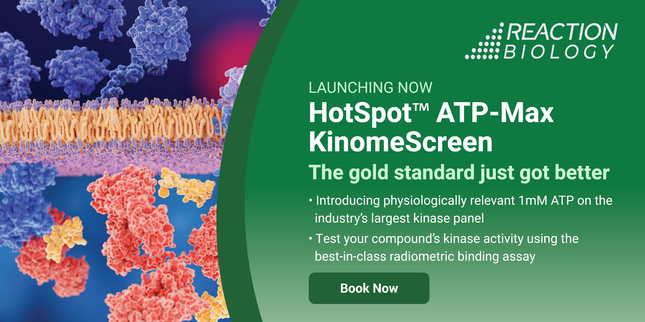HotSpot™ Kinase Screening